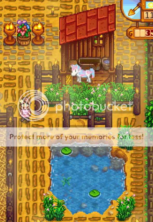 Community - Show off your farm! | Page 12 | Chucklefish Forums